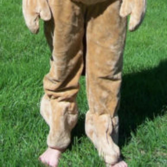 Disney | Costumes | Disney Goliath Lion Halloween Costume Jojos Circus ...